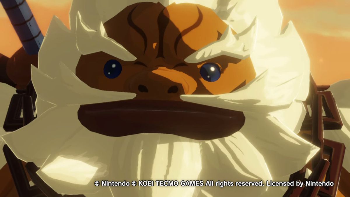 Hyrule Warriors : L’Ère du Fléau - Guide du gardien de l'âge de la ...