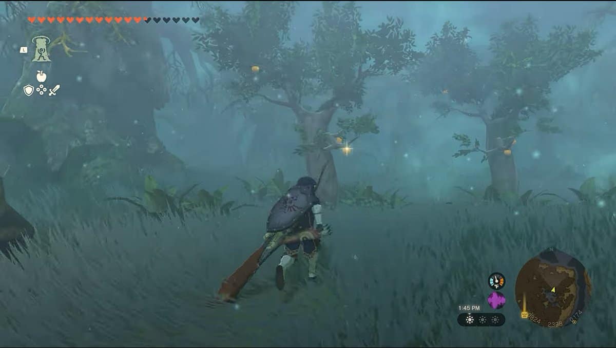 Zelda : Tears Of The Kingdom - Soluce du sanctuaire de Pupunke - Tseret